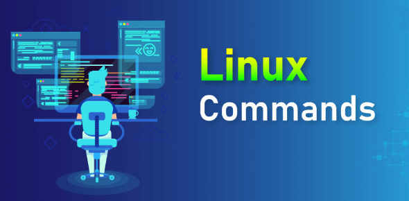 Basic Linux Commands Quiz Test Trivia Flashcards And Questions 3603